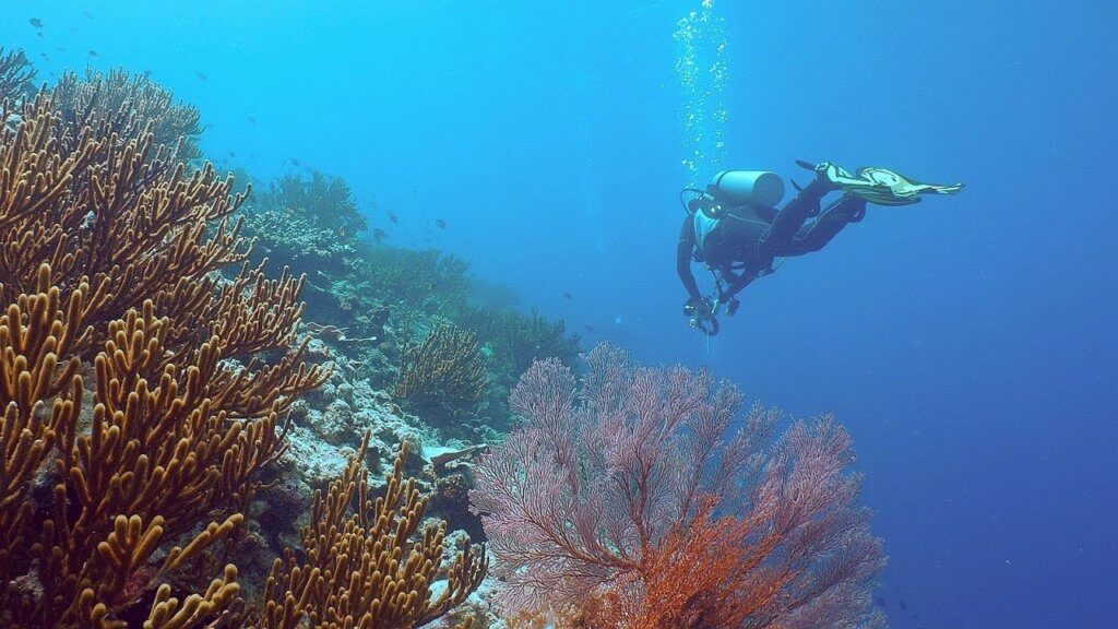 Exploration to the Gili Islands - Latest News Bali